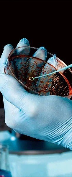 RIC – Rawalpindi Institute of Cardiology